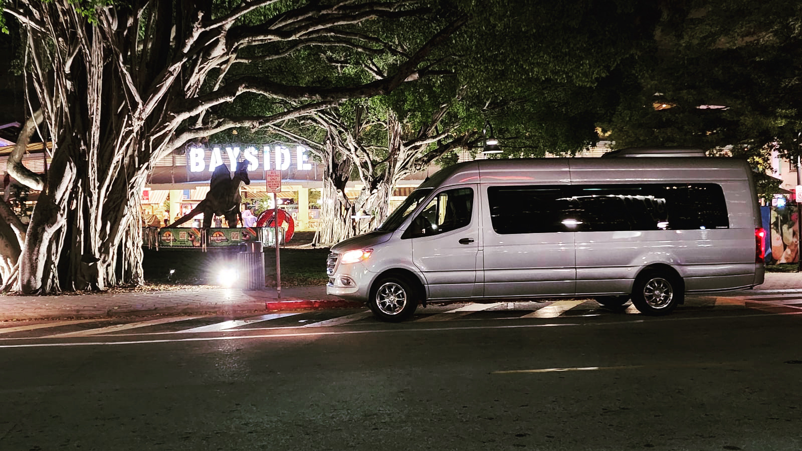 New Mercedes Sprinter Executive Limo - Centurion Limo